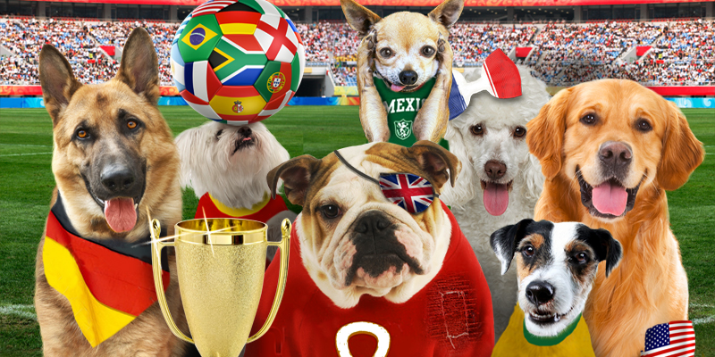 Pups United - CDC United Network